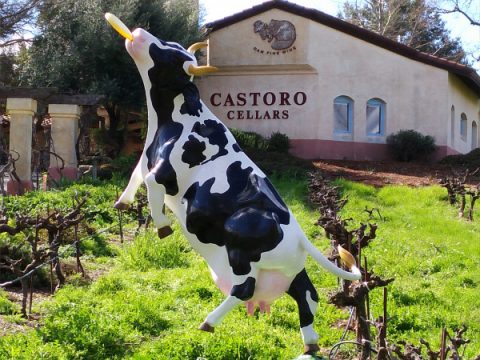 Castoro Cellars - nice Central Coast, Paso Robles stop on our ...